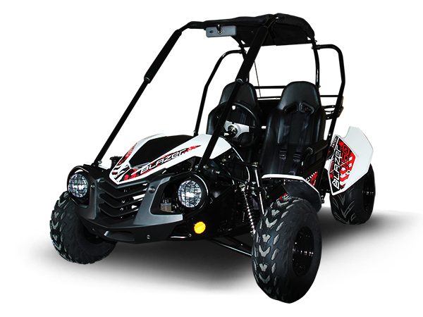 Best Go Karts in Texas | Deluxe Buggy Hydraulic Go kart