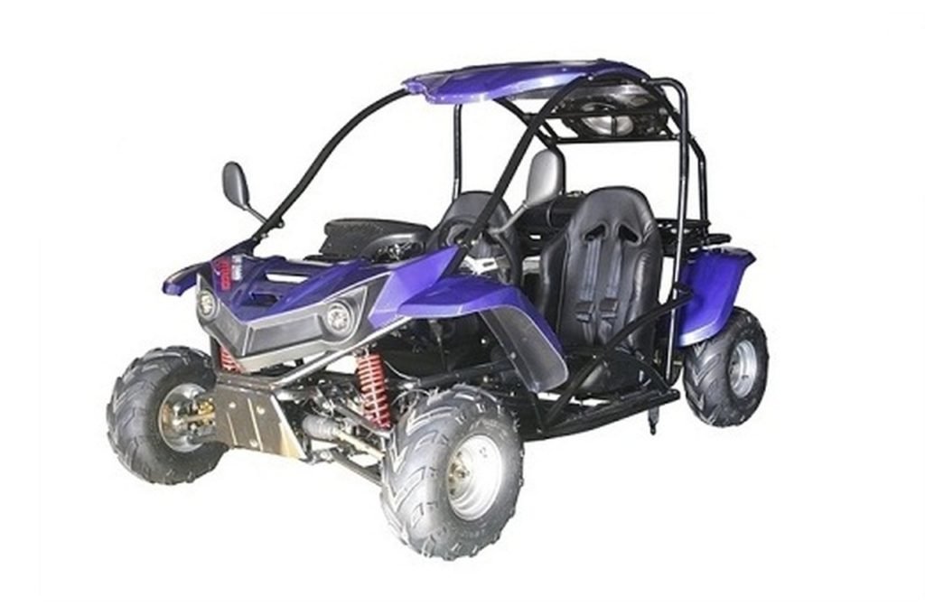 Trailmaster Cheetah 300EX Go Kart - Pioneer Powersports