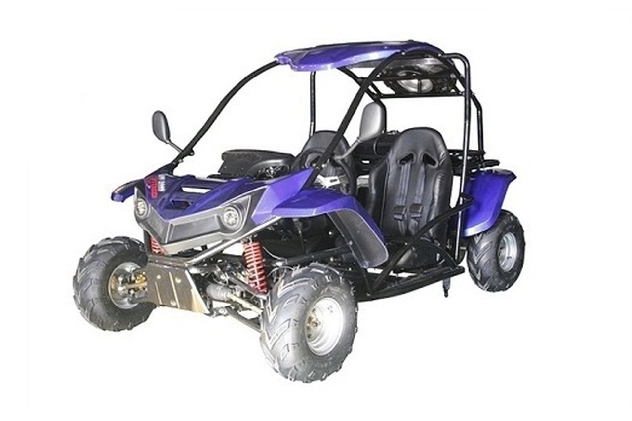 Trailmaster Cheetah 300EX Go Kart - Pioneer Powersports