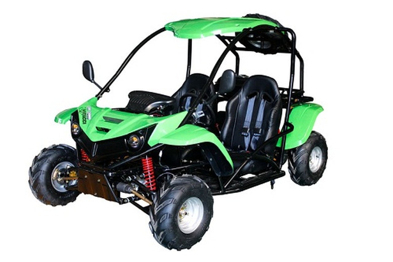 Trailmaster Cheetah 300EX Go Kart - Pioneer Powersports