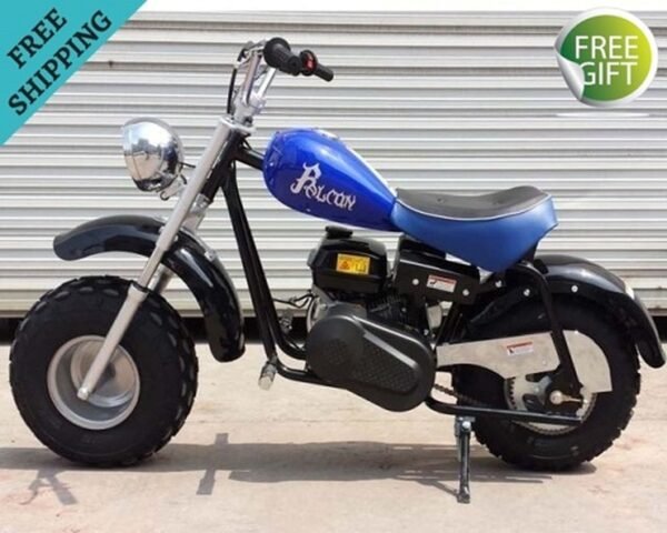 Trailmaster TM38 300cc 31HP Dirt Bike - Pioneer Powersports