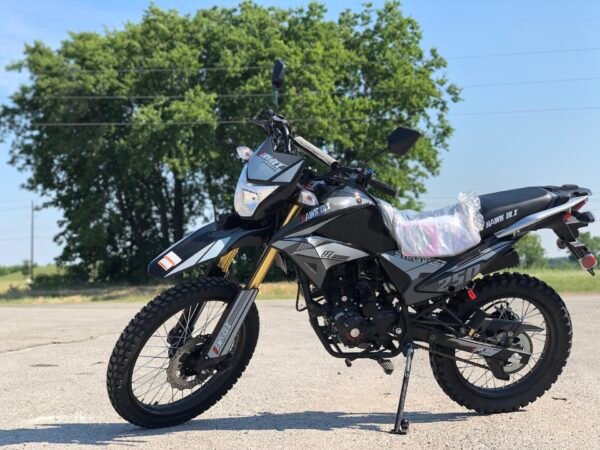Trailmaster TM38 300cc 31HP Dirt Bike - Pioneer Powersports