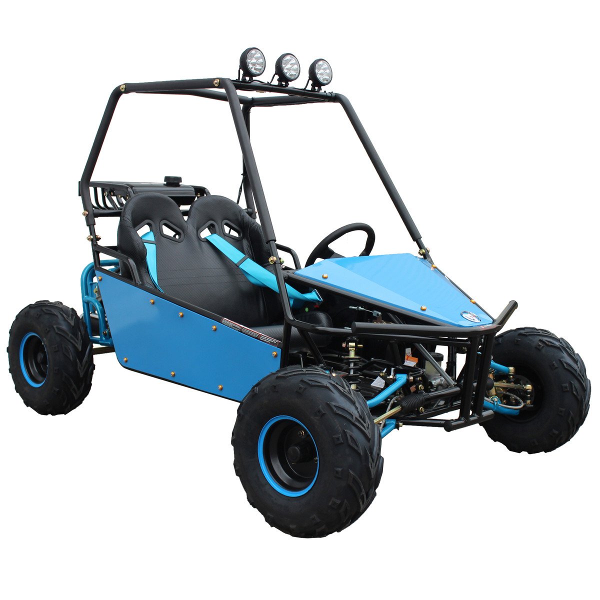 Trailmaster Cheetah 300EX Go Kart - Pioneer Powersports