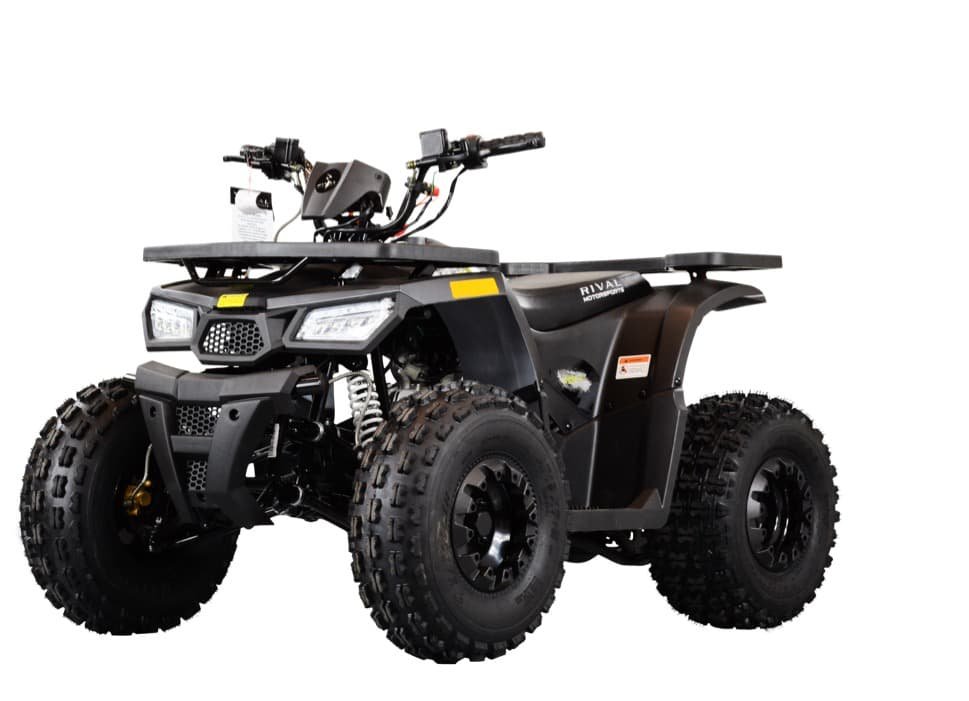 Rhino 250cc Standard ATV - Pioneer Powersports