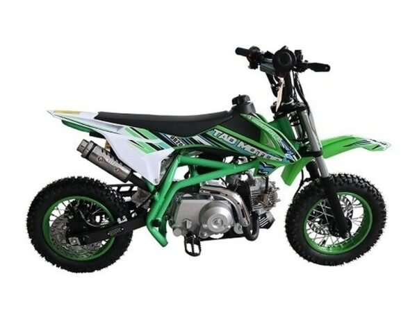 Trailmaster TM38 300cc 31HP Dirt Bike - Pioneer Powersports