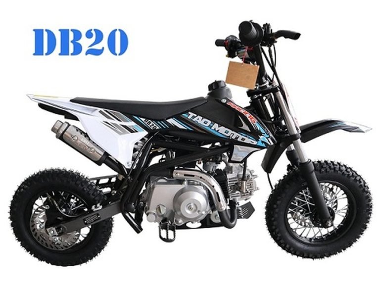 Trailmaster TM38 300cc 31HP Dirt Bike - Pioneer Powersports