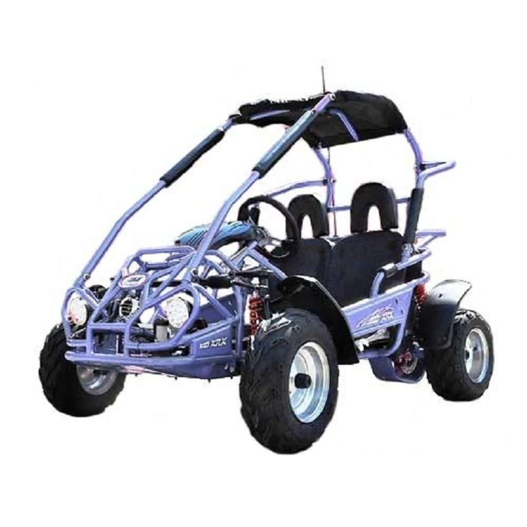 Trailmaster Cheetah 300EX Go Kart - Pioneer Powersports