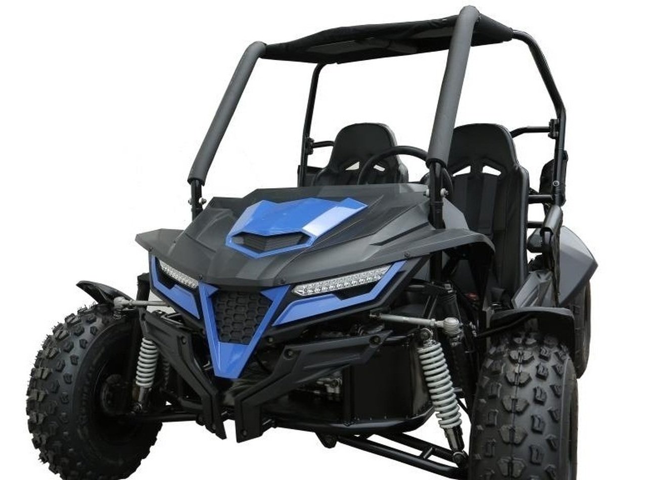 Trailmaster Cheetah 300EX Go Kart - Pioneer Powersports