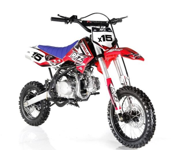 Trailmaster TM38 300cc 31HP Dirt Bike - Pioneer Powersports